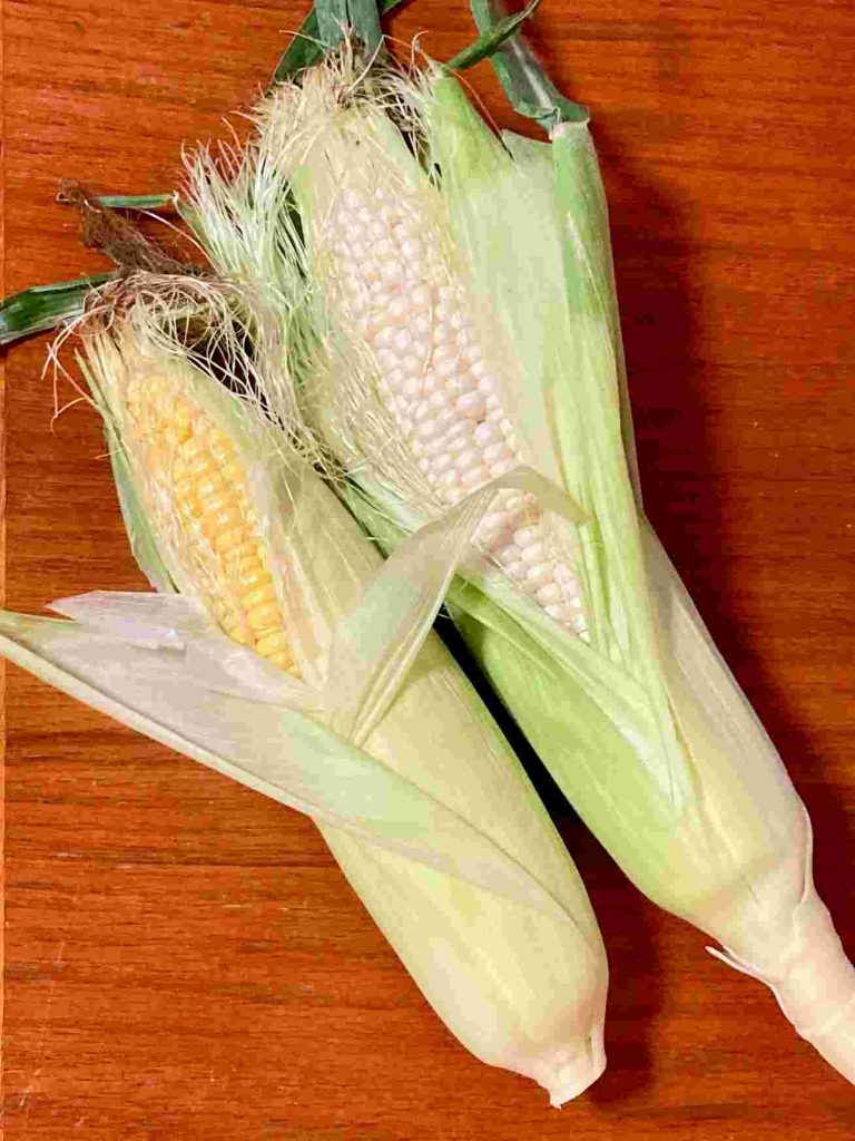 生流 | かつだひでき